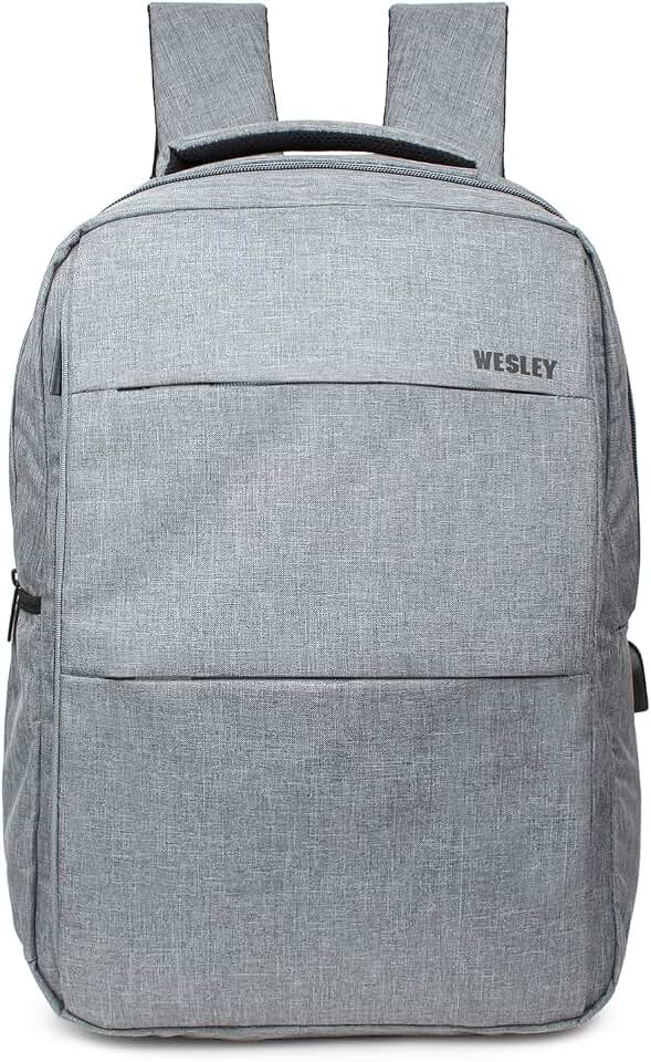 Amazon.in: Wesley - Bags & Backpacks: Bags, Wallets And Luggage