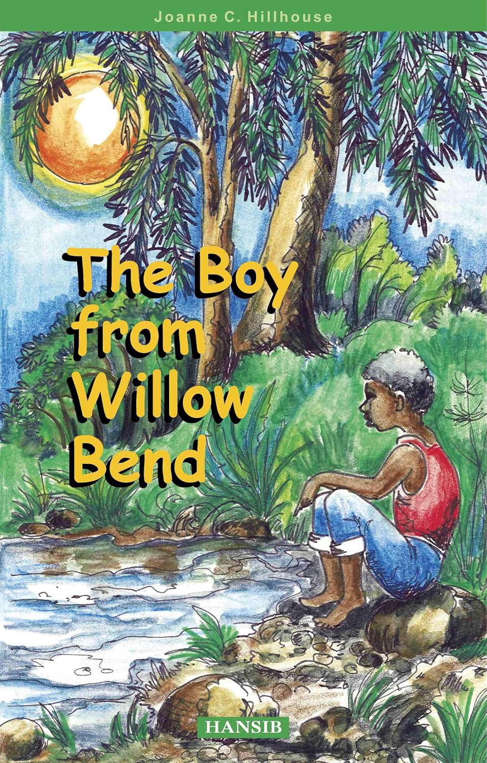 Boy From Willow Bend: Joanne C Hillhouse: 9781906190293: Amazon.com: Books