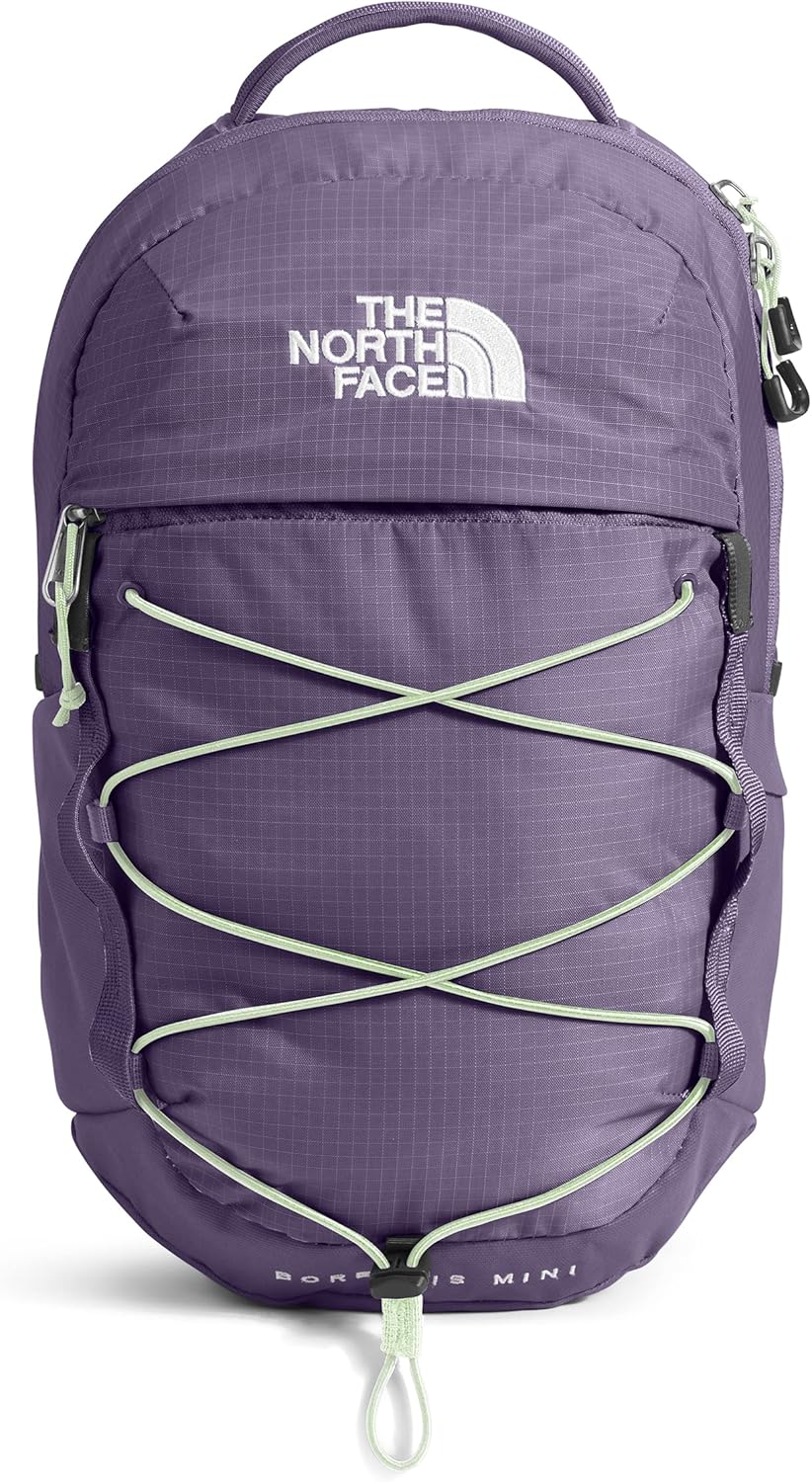 The North Face Borealis Mini Mens Backpack Lunar Slate/Lime Cream
