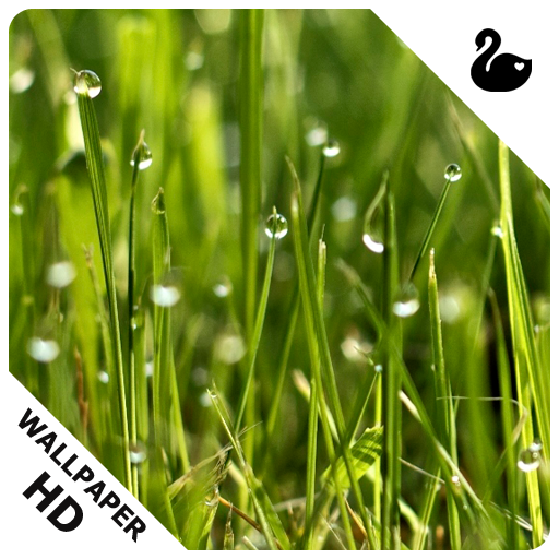 Grass Wallpapers - App on Amazon Appstore