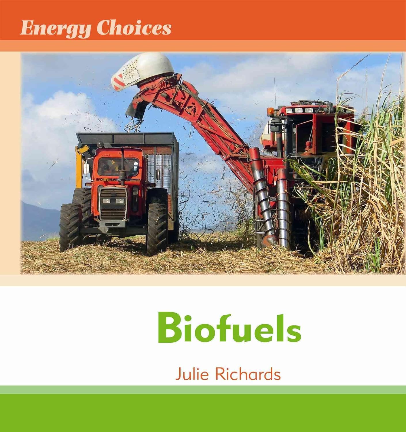 Biofuels (Energy Choices): Richards, Julie: 9780761444329: Amazon.com ...