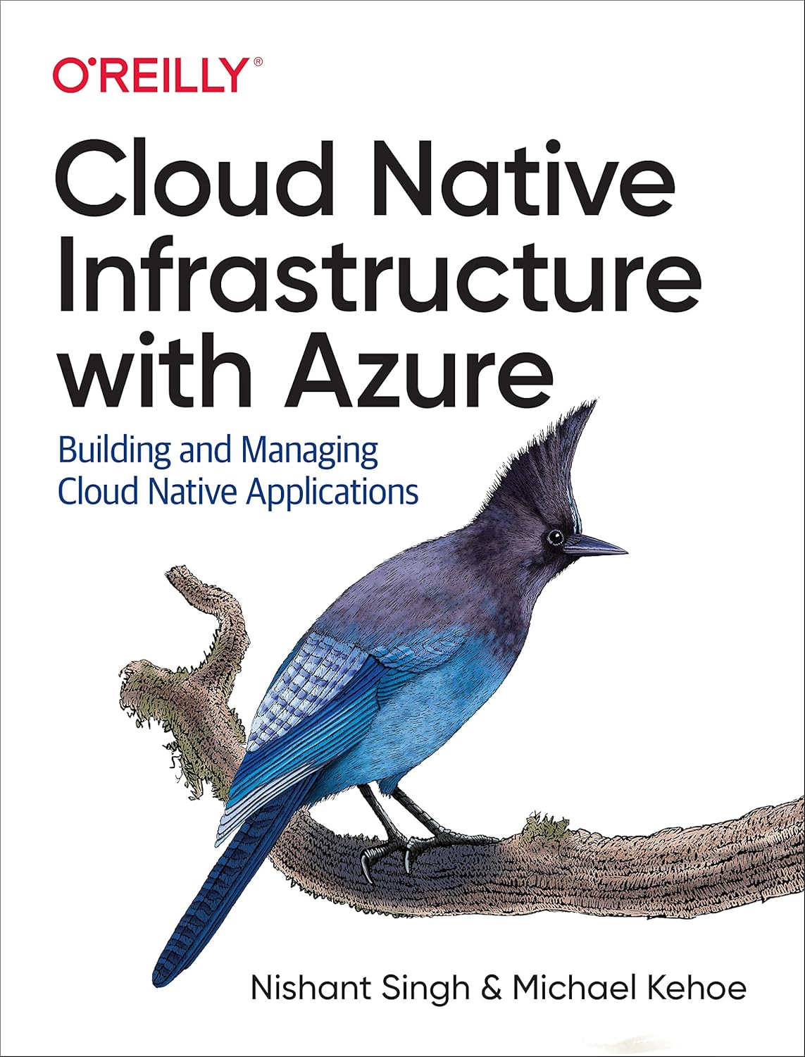 Amazon.com: Cloud Native Infrastructure with Azure: Building and ...