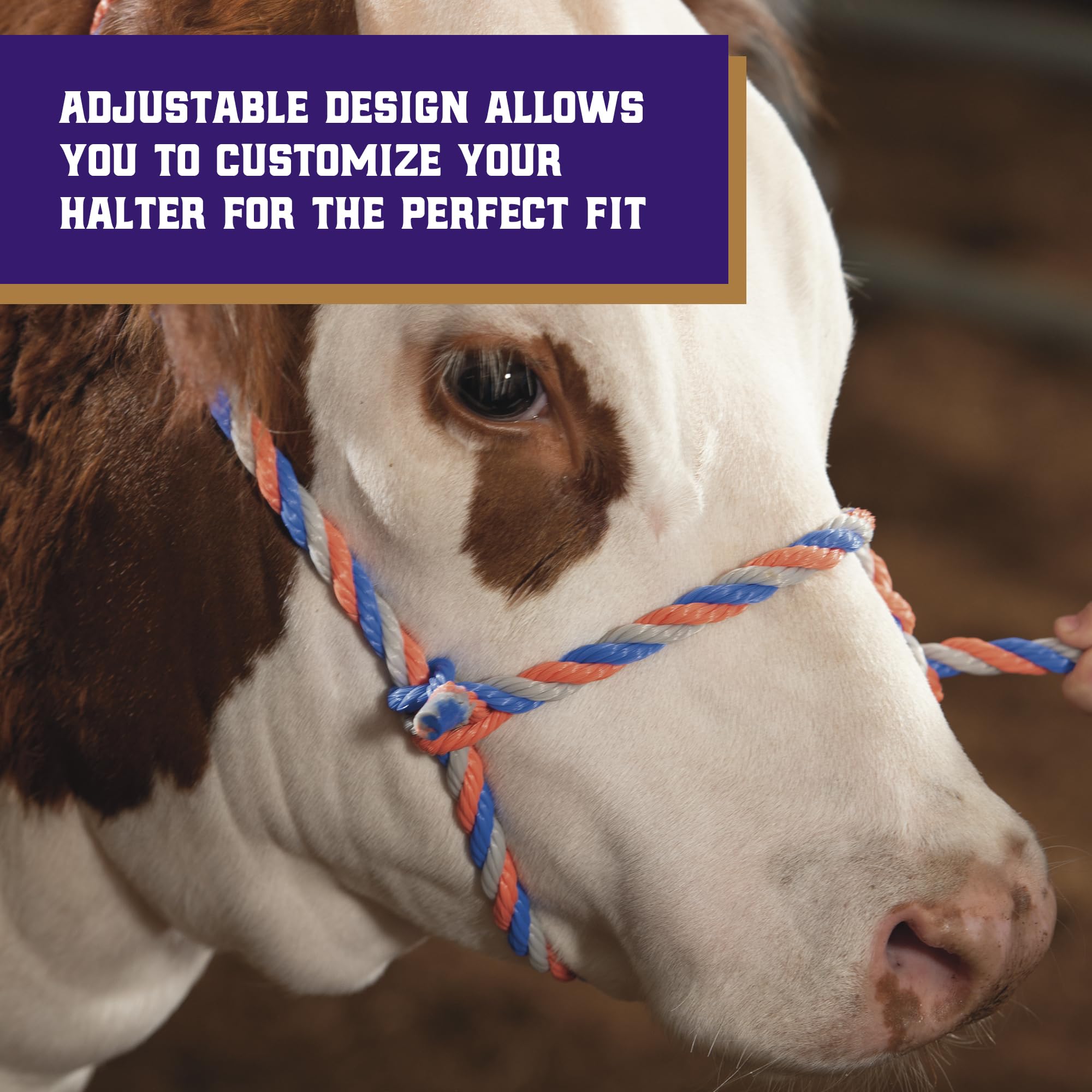 Snapklik.com : Weaver Livestock Braided Poly Rope Cattle Halter ...