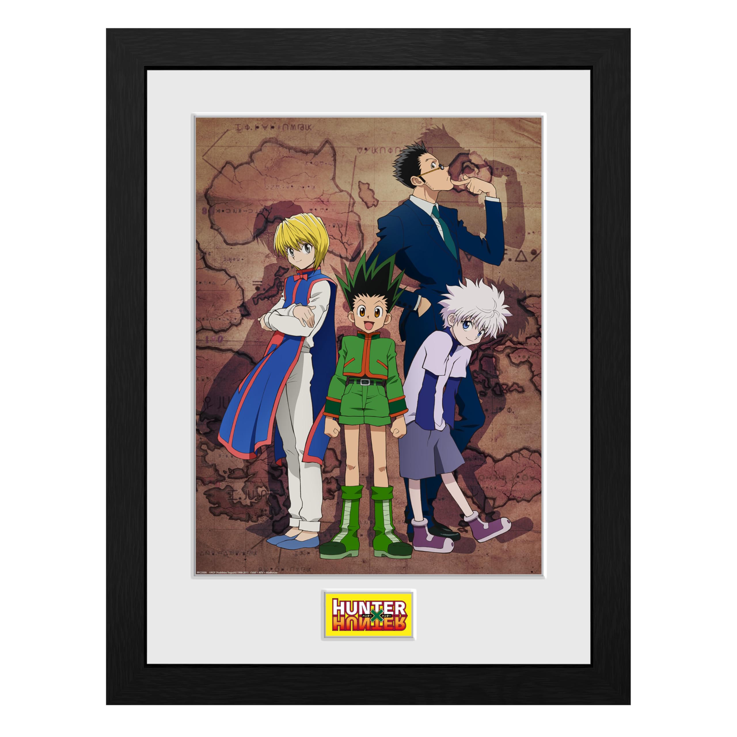 Amazon.com: GB eye ABYstyle Hunter x Hunter Map Framed Poster 12" x 16 ...