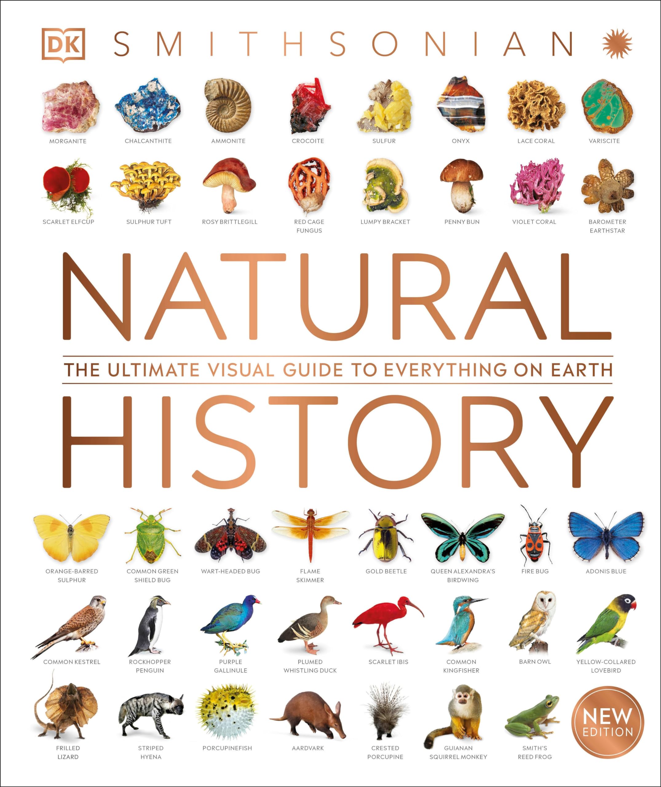 Natural History (DK Definitive Visual Encyclopedias): DK, Smithsonian ...