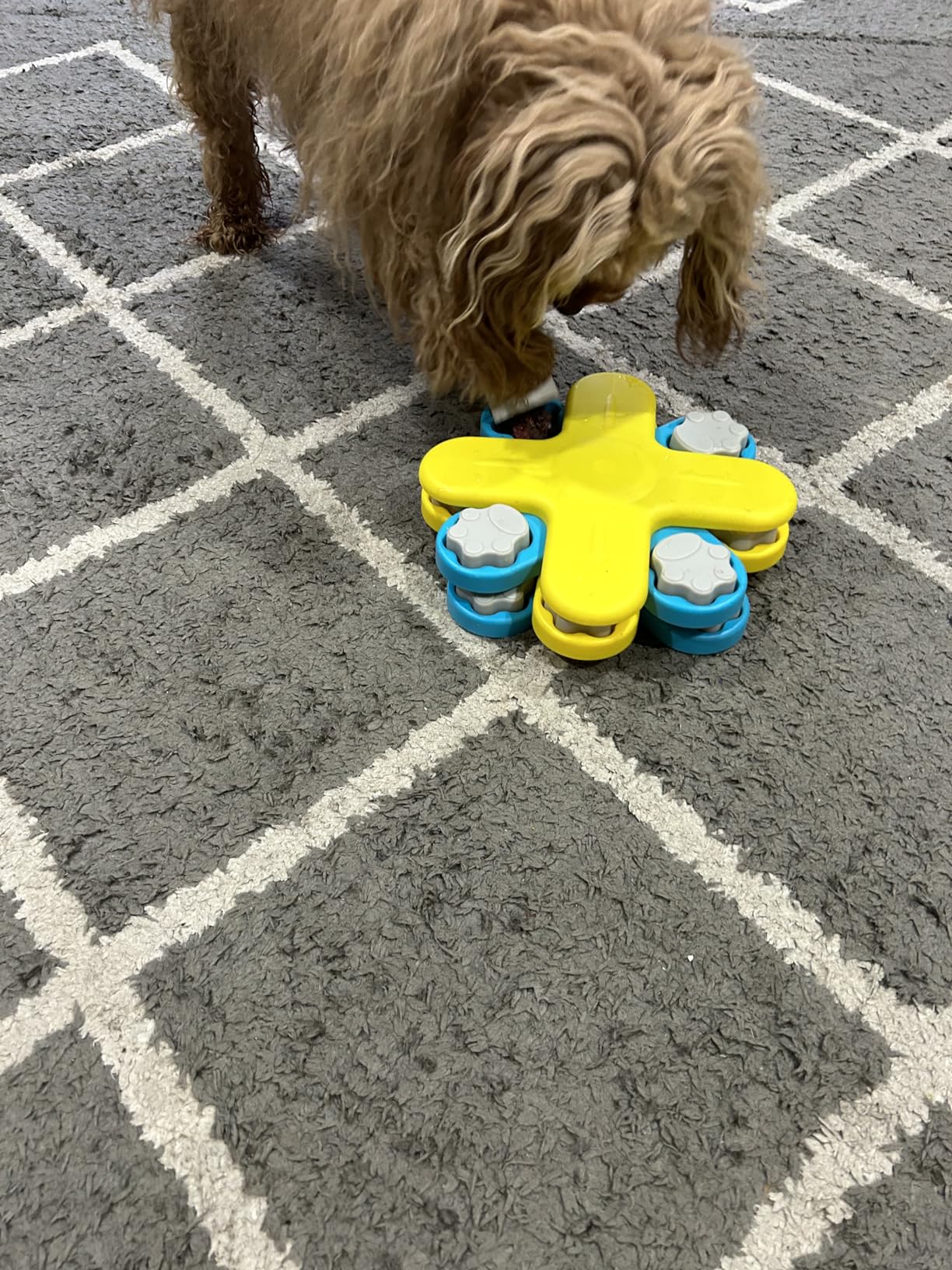 PeppyPawz Dog Puzzle Feeder, Dog Enrichment Toy, Squeaky Interactive ...