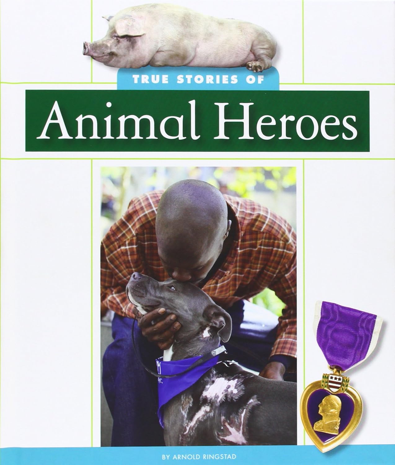 True Stories of Animal Heroes (True Animal Stories): Ringstad, Arnold ...