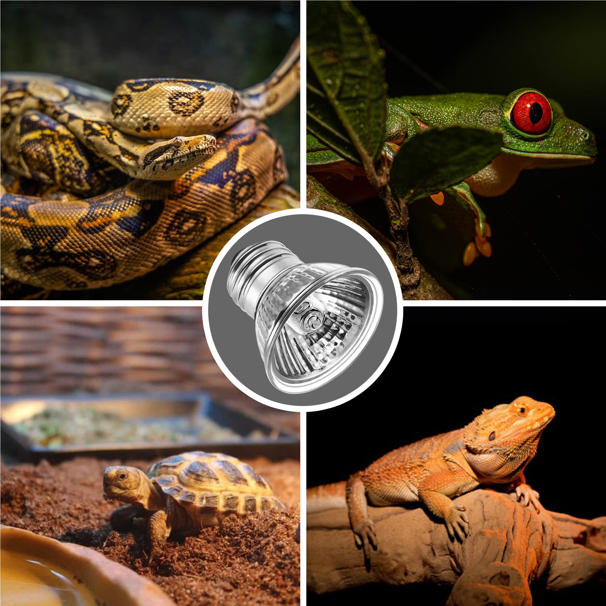 Snapklik.com : Reptile Heat Bulb 2 Pack, 50W UVA UVB Reptile Light ...
