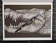 Intricate Ink Animals in Detail a Coloring Book by Tim Jeffs : Tim ...