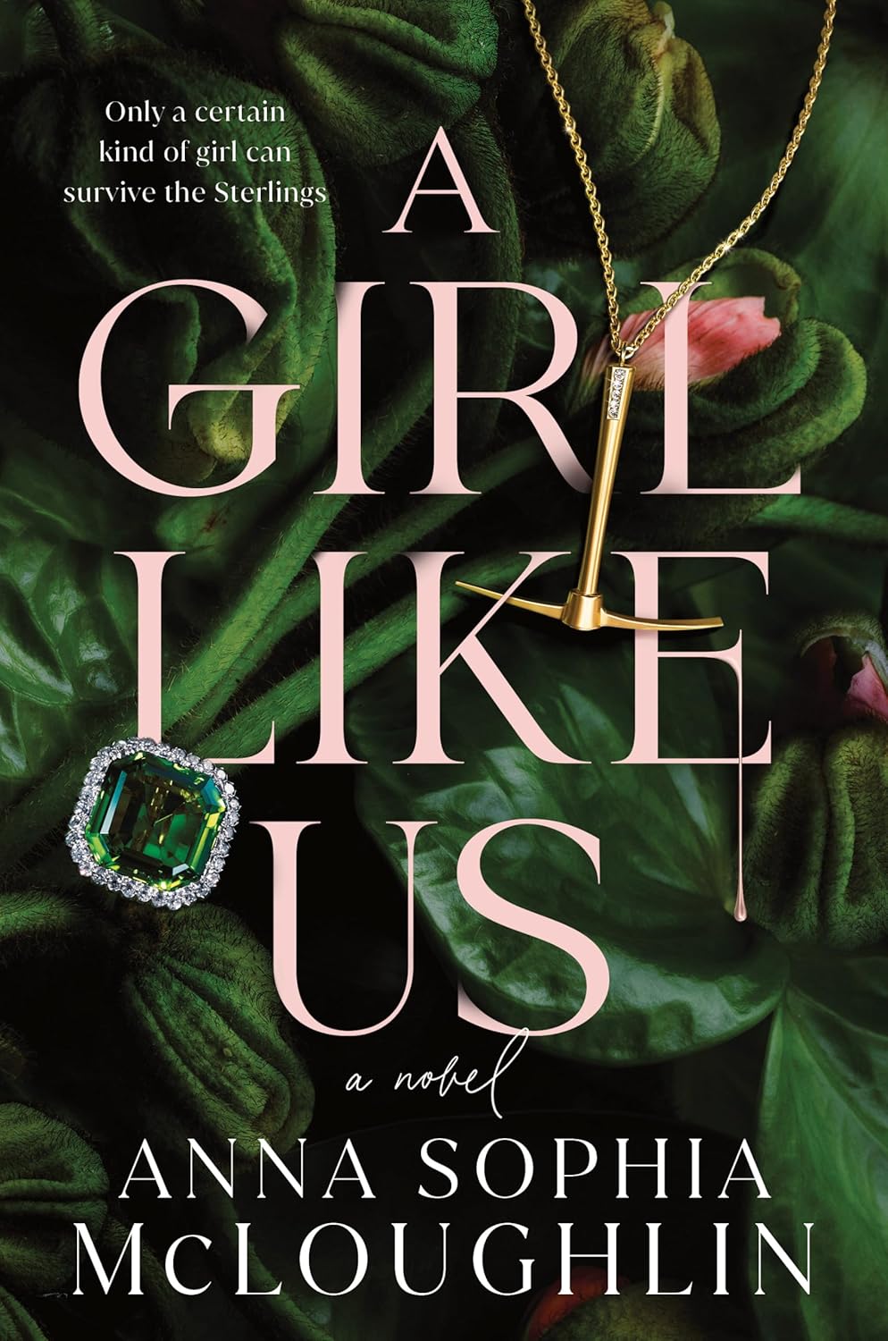 Amazon.com: A Girl Like Us: A Novel: 9781728296135: McLoughlin, Anna ...