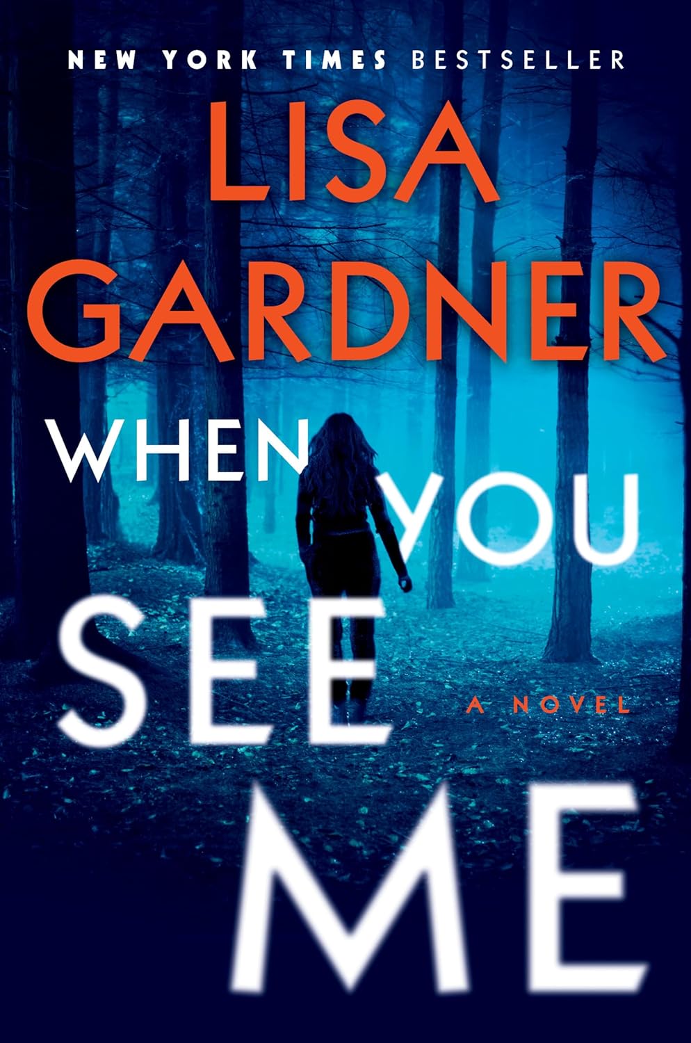 Amazon.com: When You See Me: A Novel (Detective D. D. Warren ...