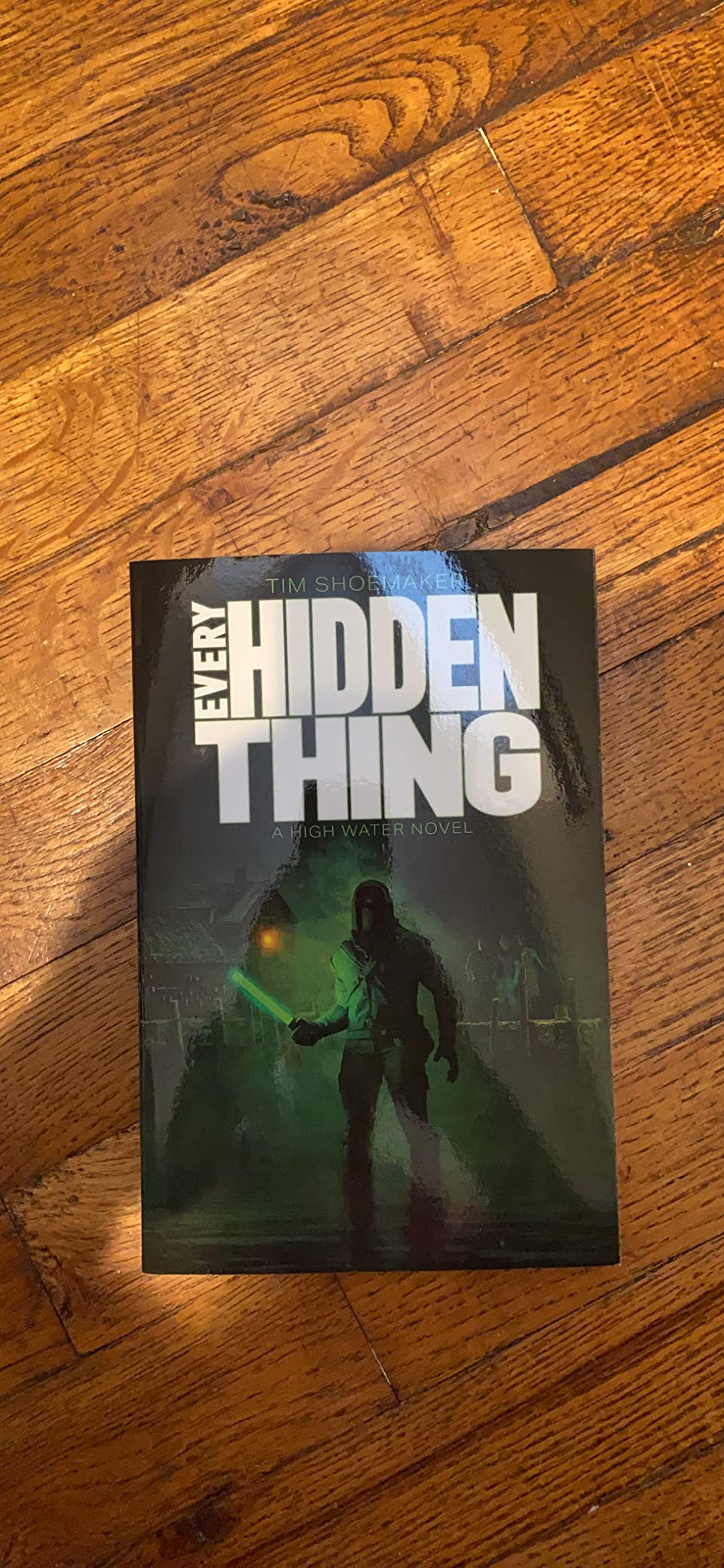 Amazon.com: Every Hidden Thing (High Water): 9781646070602: Shoemaker ...