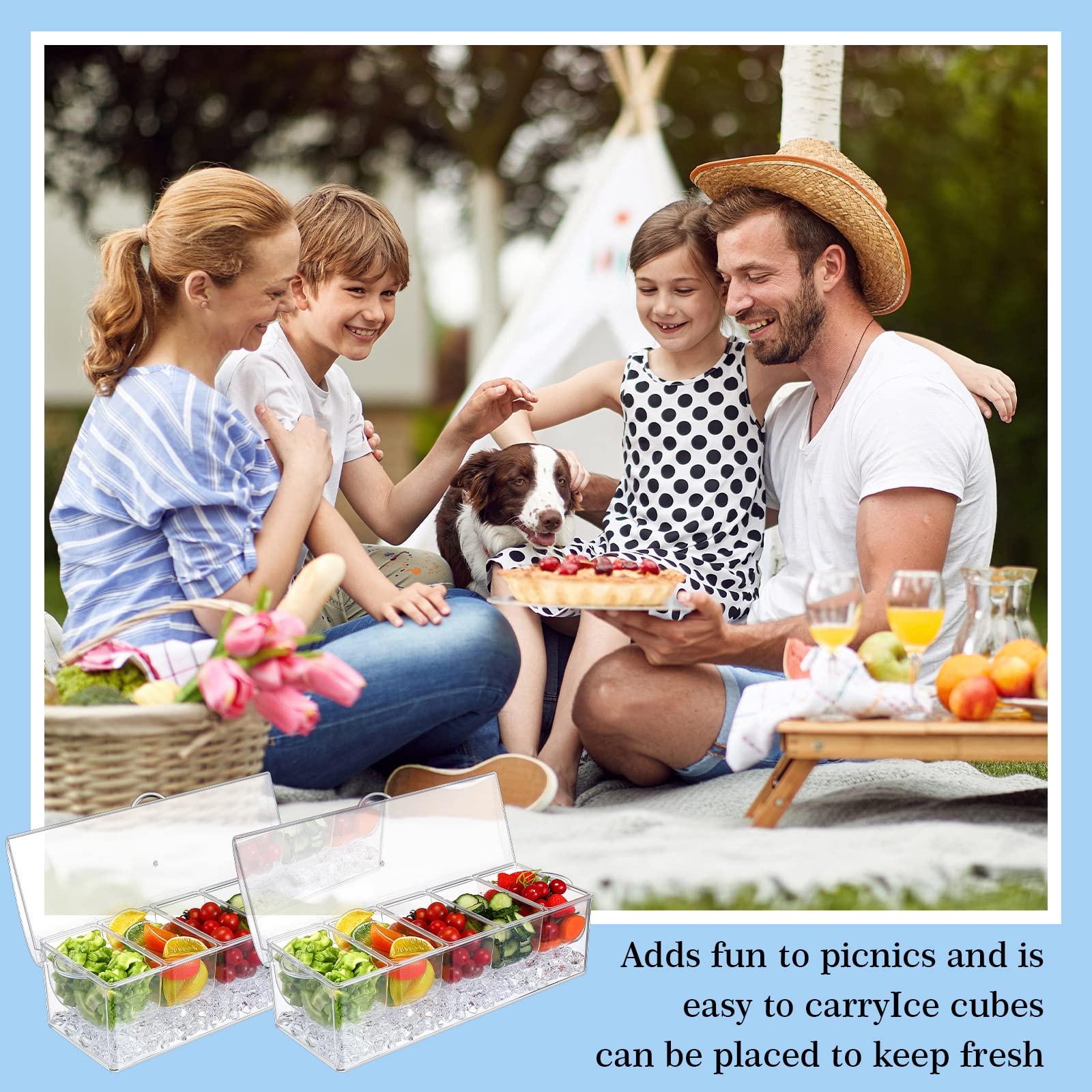 2 Pieces 5 Compartment Condiment Server Ice Chilled Condiment ...