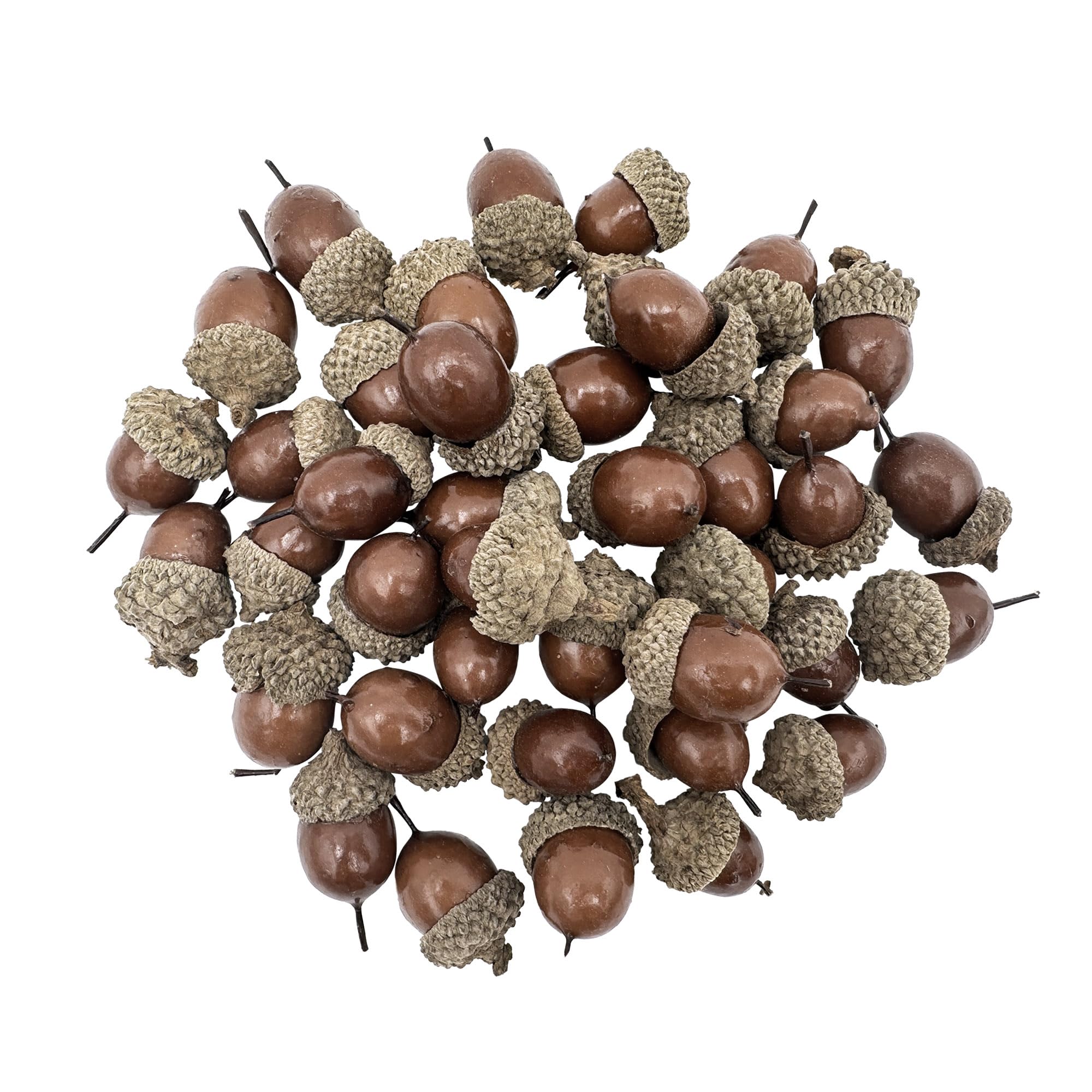 Amazon.com: Bag of Acorns Natural Look Resin Country Primitive Fall ...