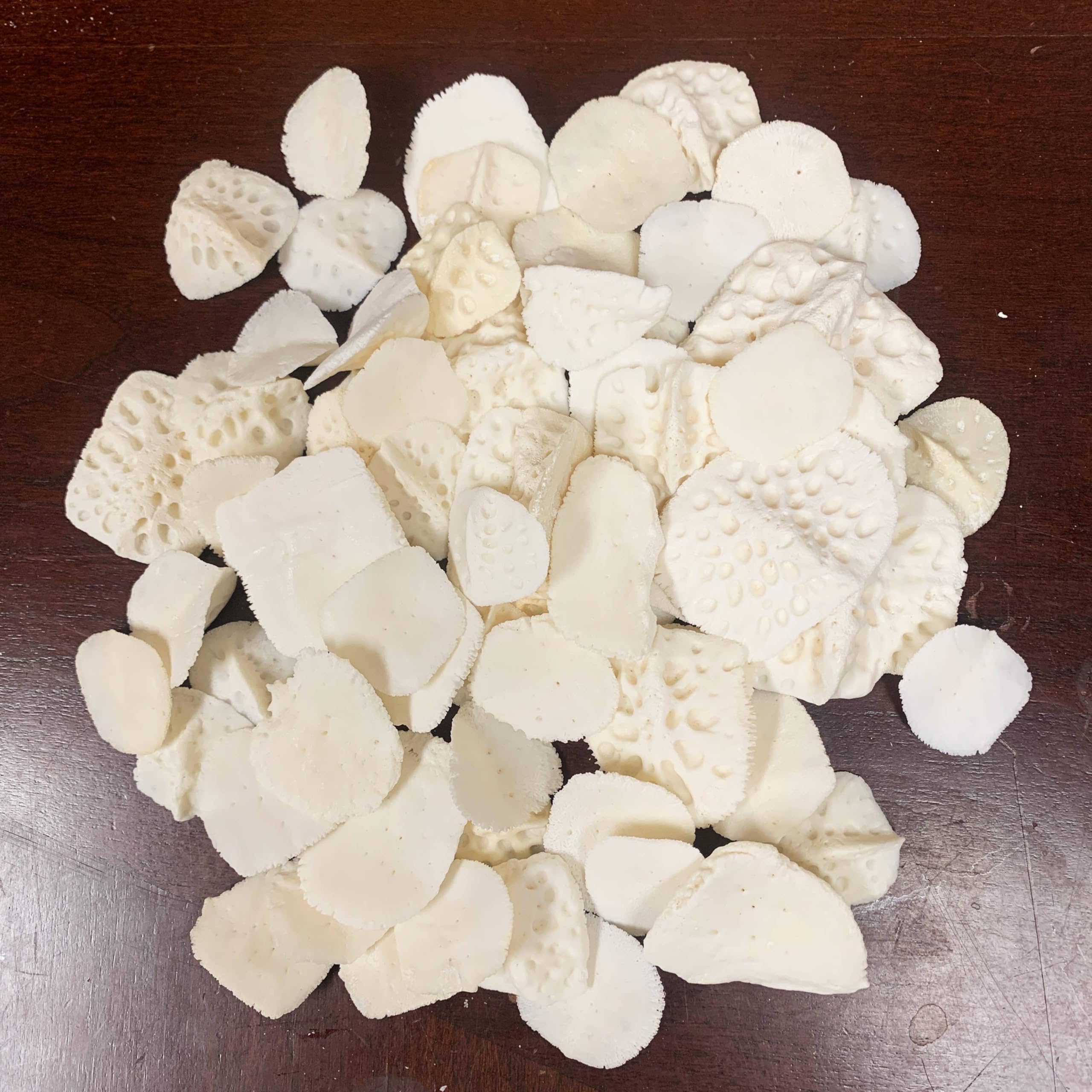 Amazon.com: Heyiwell 5PC Alligator Osteoderm Bone,Real Crocodile Skulls ...