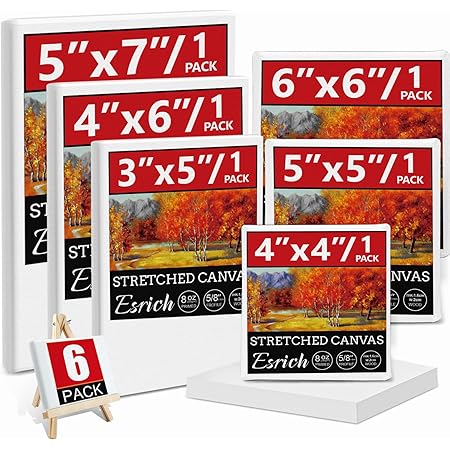 Amazon.com: 6Packs Mini Stretched Canvases for Painting with 3x5”, 4x4 ...