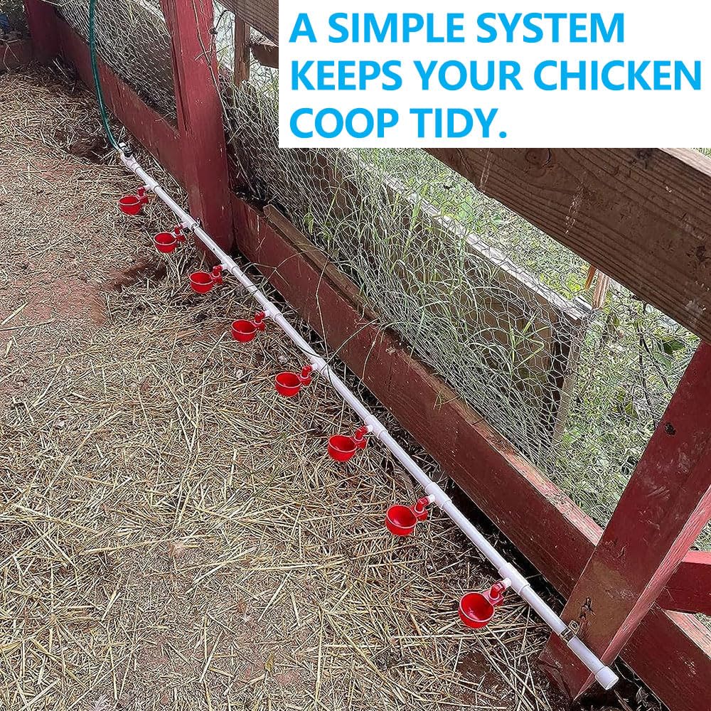 Snapklik.com : Automatic Chicken Watering System