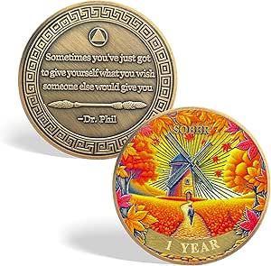 Amazon.com: CHURYUML 1 Year Sobriety Coin - One Year Sober Chip with ...