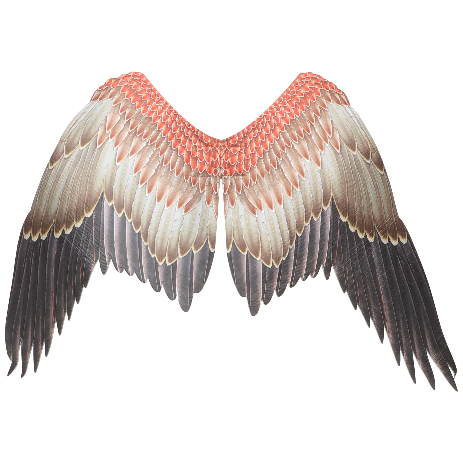 Realistic Wing