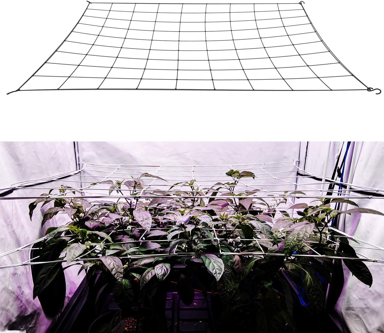 Flexible Trellis net : Amazon.co.uk: Garden