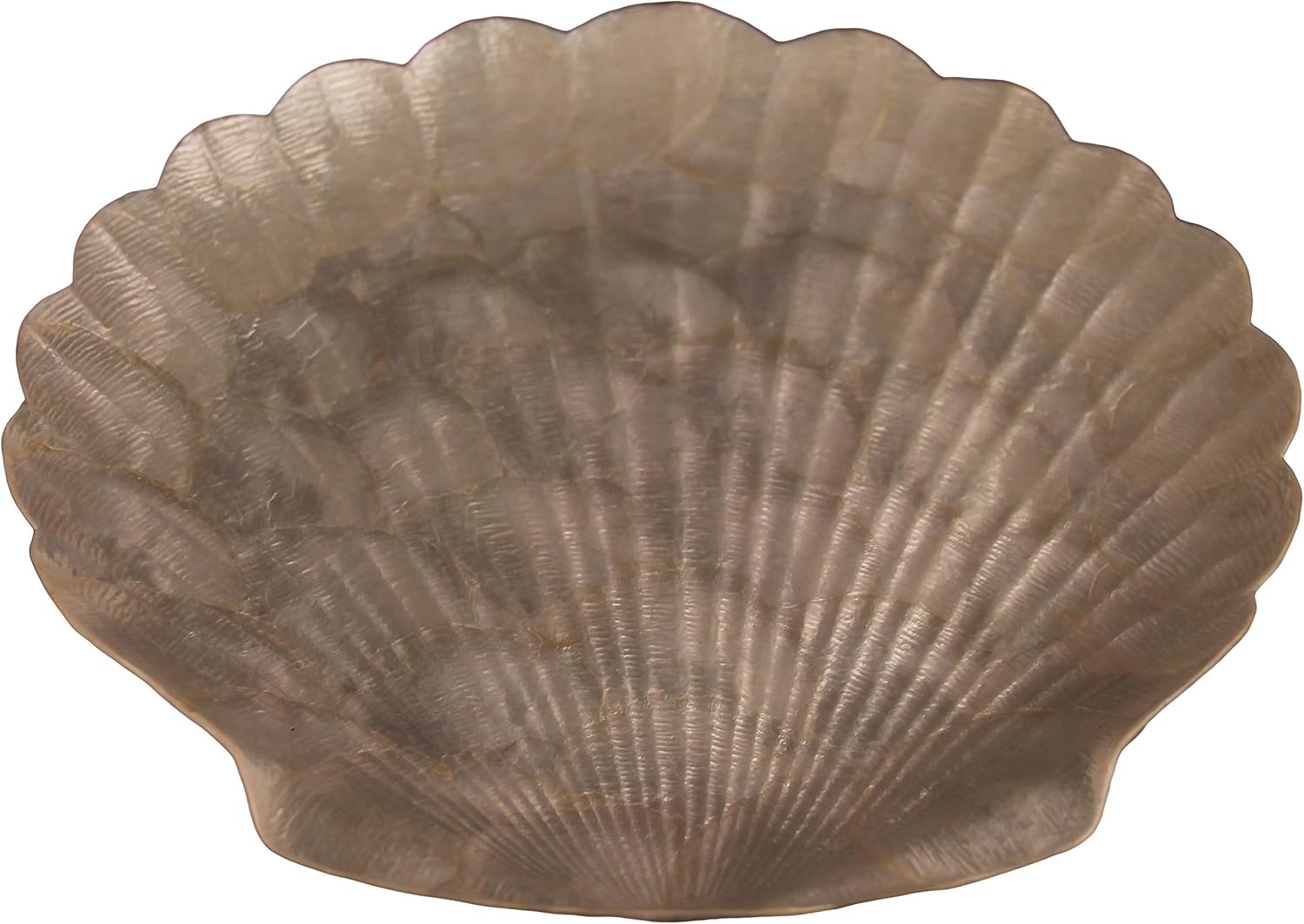 Amazon.com: Cheung's CRLM-07/L Clam Shaped Capiz Shell Tray| Large ...