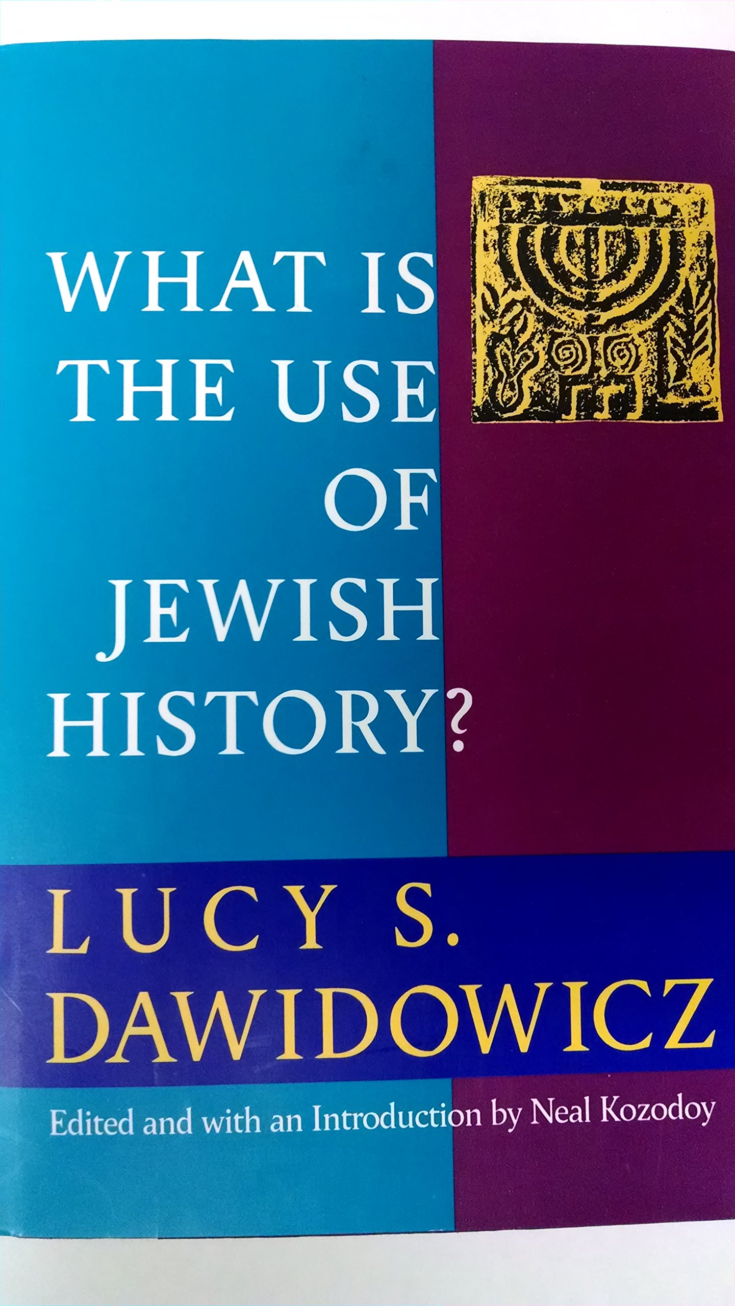 What Is the Use of Jewish History?: Lucy S. Dawidowicz, Neal Kozodoy ...
