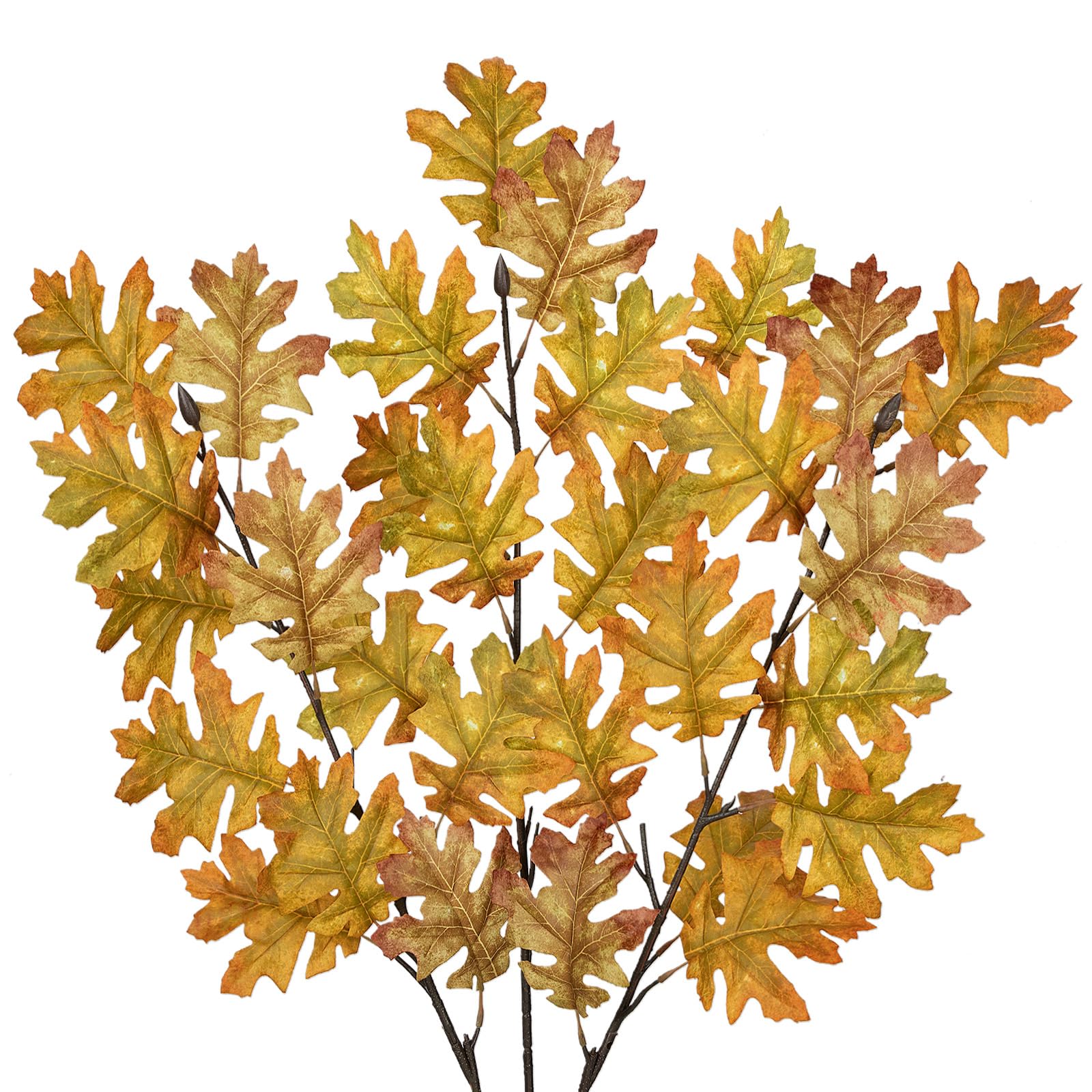 Falling Oak Leaf Leaf Of Oak Falling From The Tree Hi Res Stock