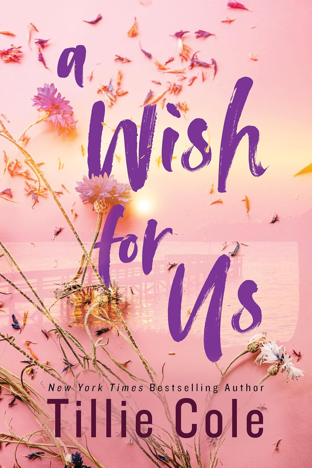 Amazon.com: A Wish for Us (Standard Edition): 9781464239595: Cole ...