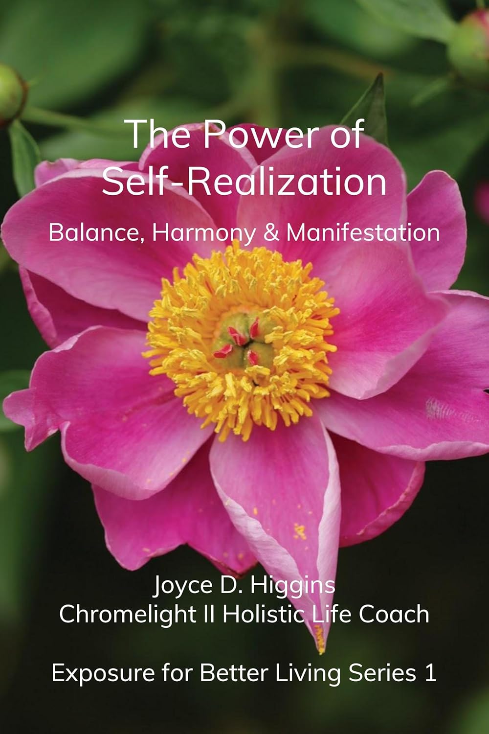 The Power of Self-Realization: Balance, Harmony and Manifestation ...