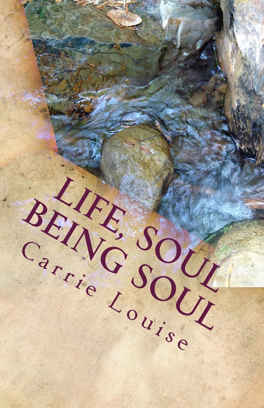 Life, Soul Being Soul: A gentle focused guide for the Human Being and ...