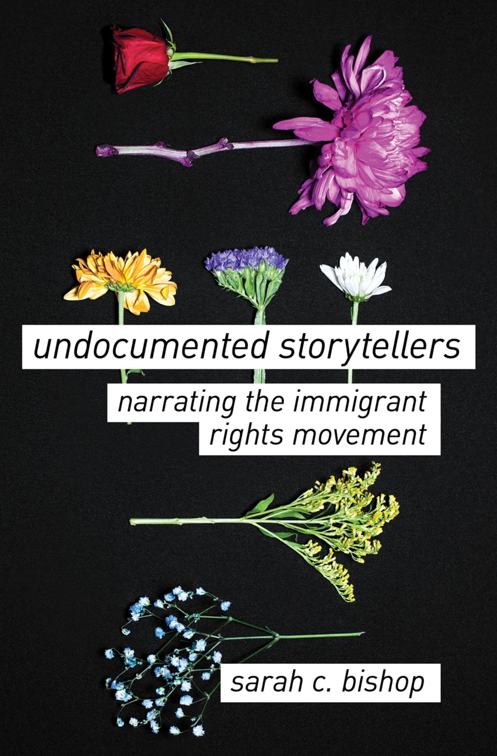 Undocumented Storytellers: Narrating the Immigrant Rights Movement ...