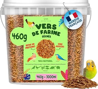 Farine de poisson : pilier de l'aquaculture durable