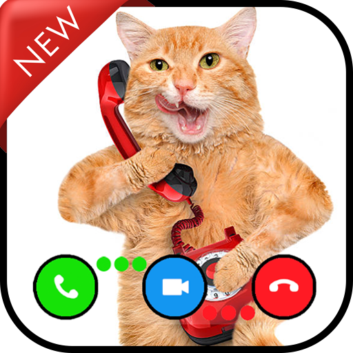 Tiny Cat Video Call - Live voice & Video from pet cat and Texting ...
