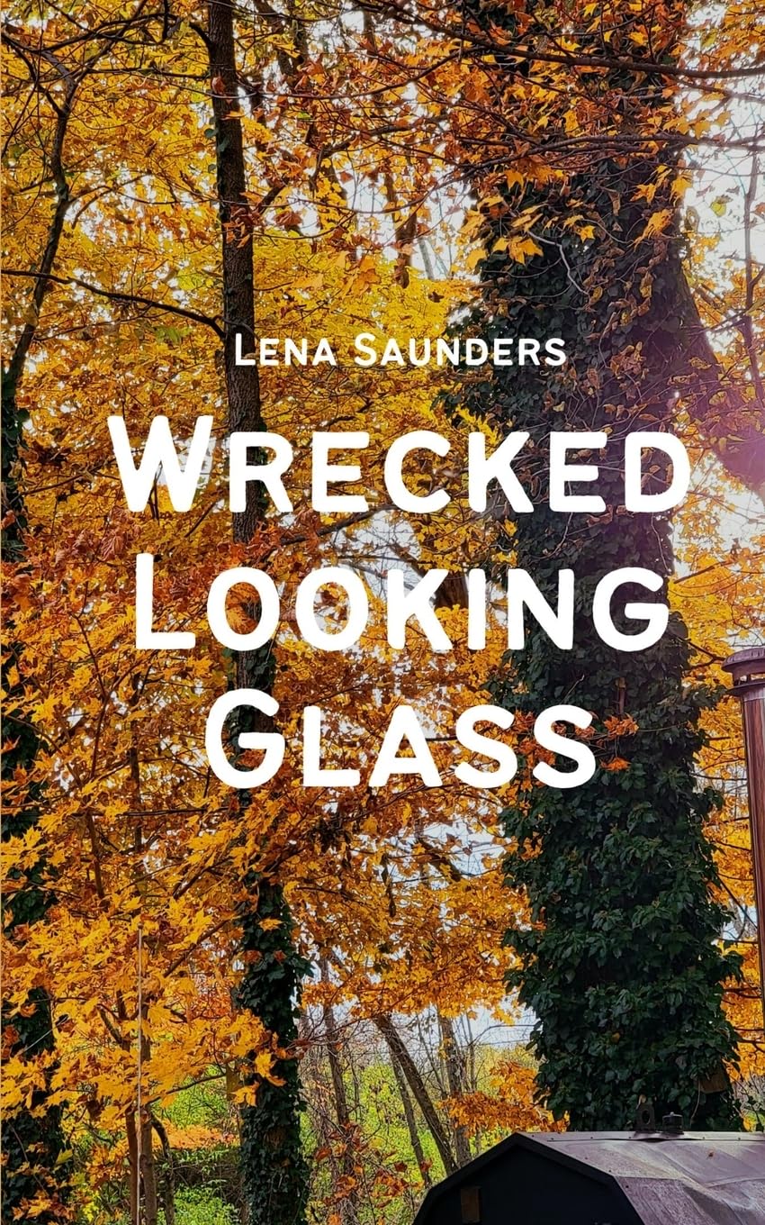 Wrecked Looking Glass: Saunders, Lena: 9789357214346: Amazon.com: Books