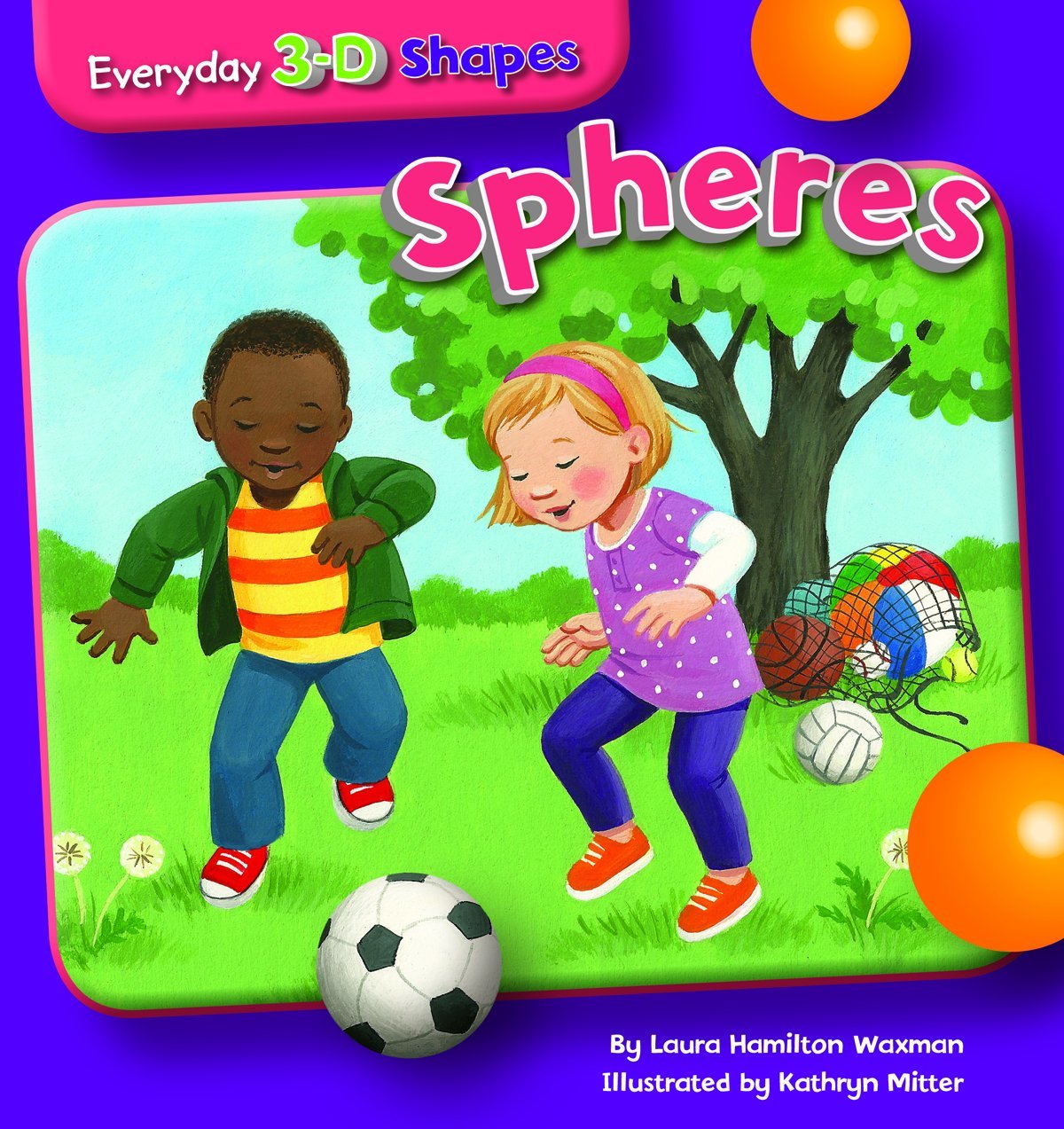Amazon.com: Spheres (Everyday 3-d Shapes): 9781616418779: Waxman, Laura ...