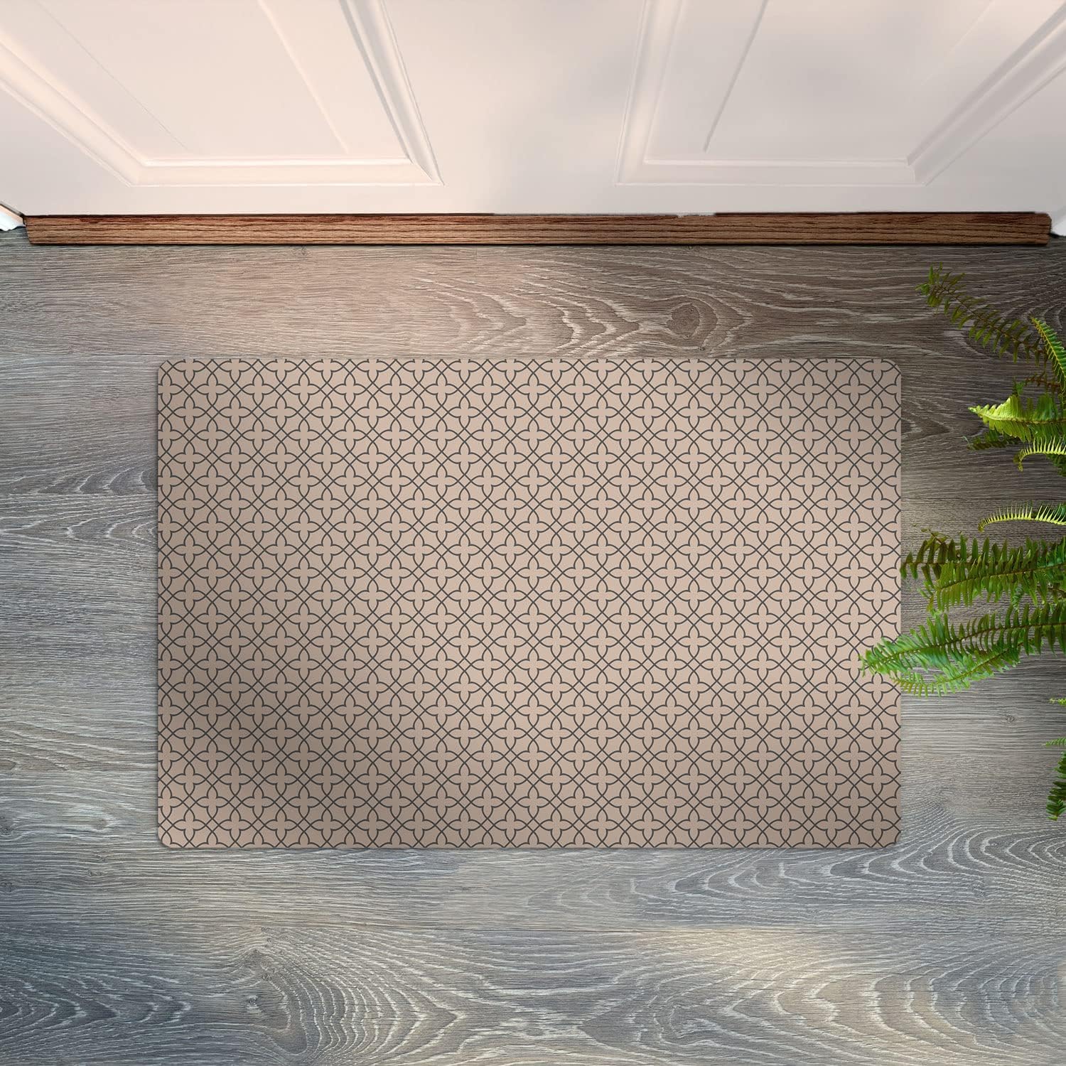 Amazon.com: Shape28 Small Area Mat Ultra-Thin Kitchen Rug Entrance Mat ...