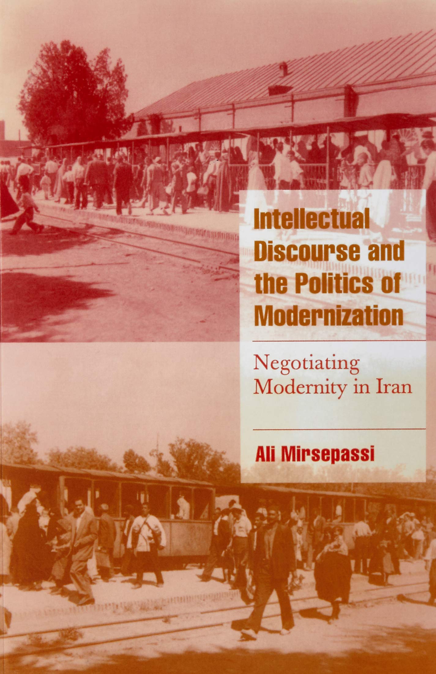 Amazon.com: Intellectual Discourse and the Politics of Modernization ...
