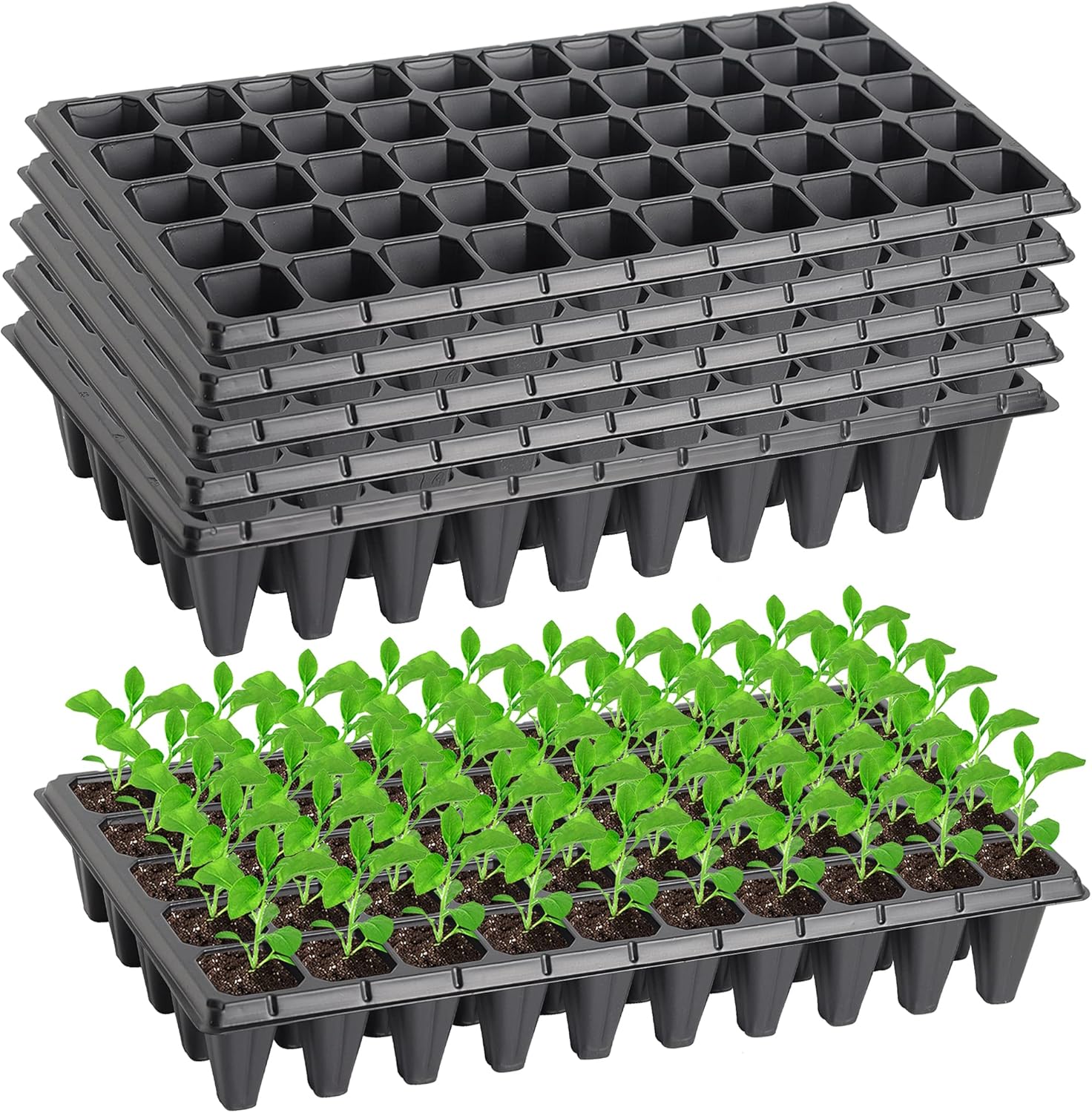 Amazon.com : 250 Cells 20×10 Inch Seedling Plug Trays - 5 PCS 54x28cm ...