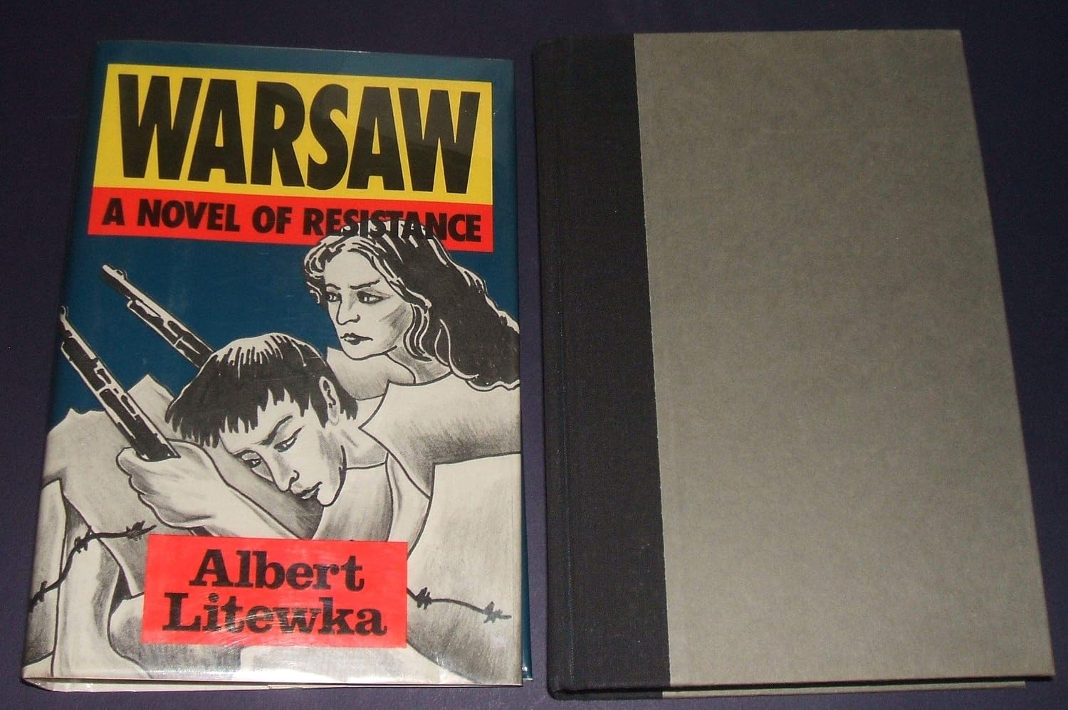 Warsaw: A Novel of Resistance: Litewka, Albert: 9780941781039: Amazon ...
