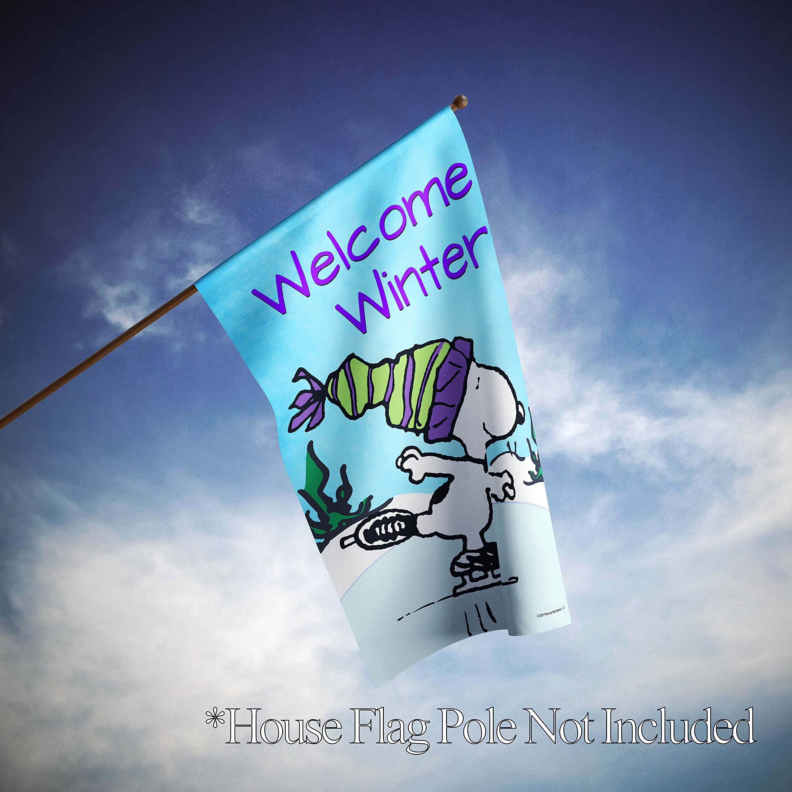 Snoopy Winter Banner