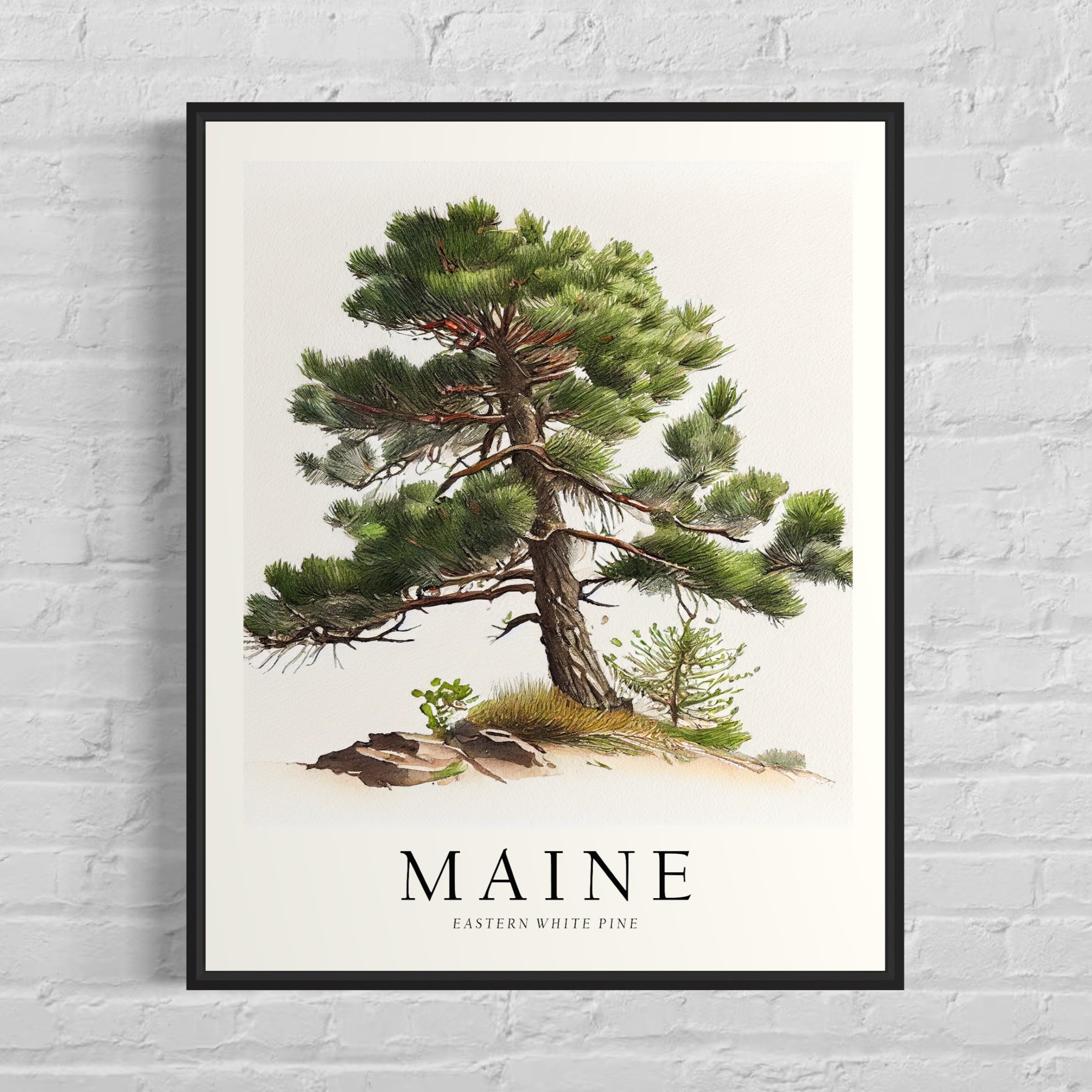 Maines State Tree