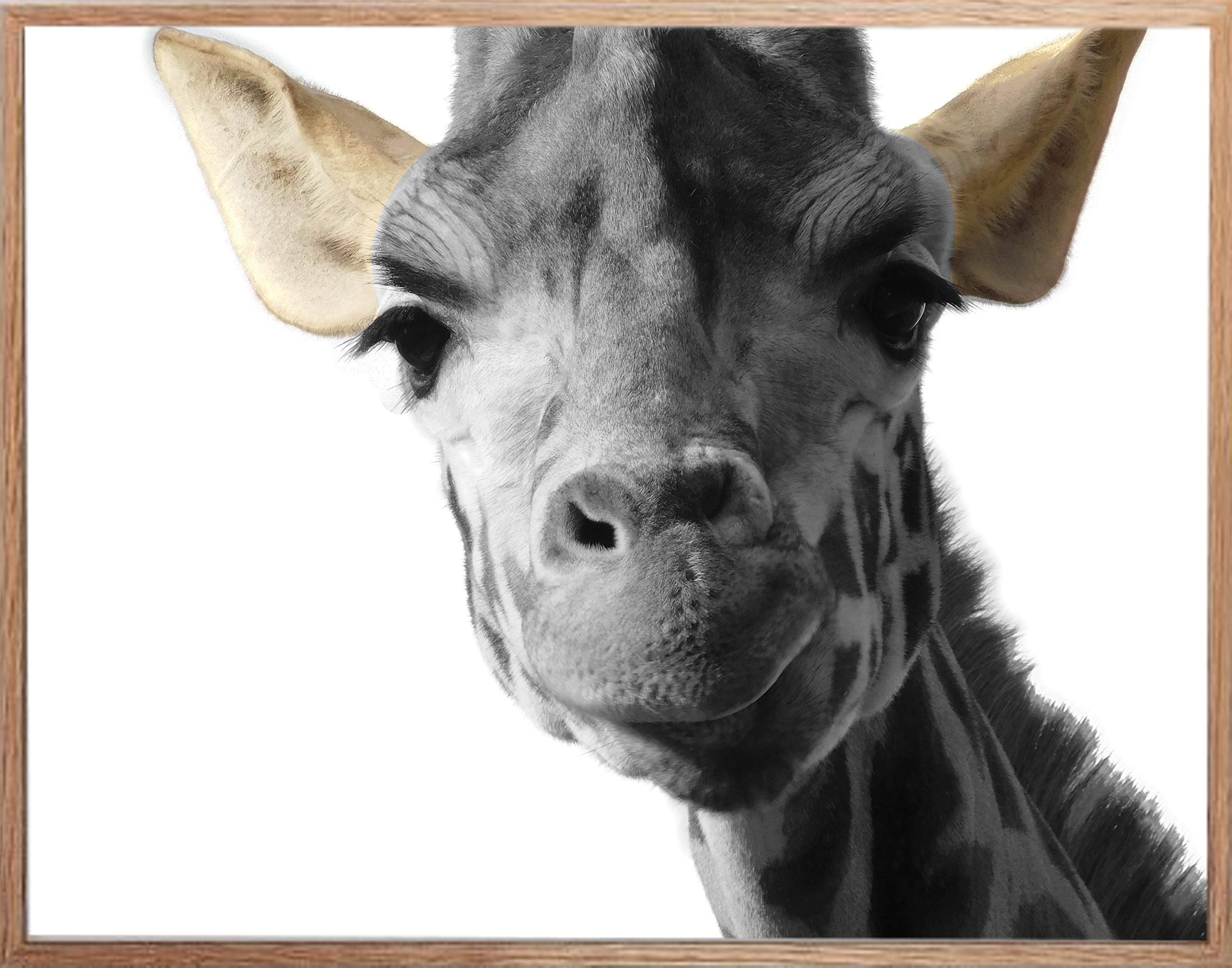 Giraffe Sayings For Classroom