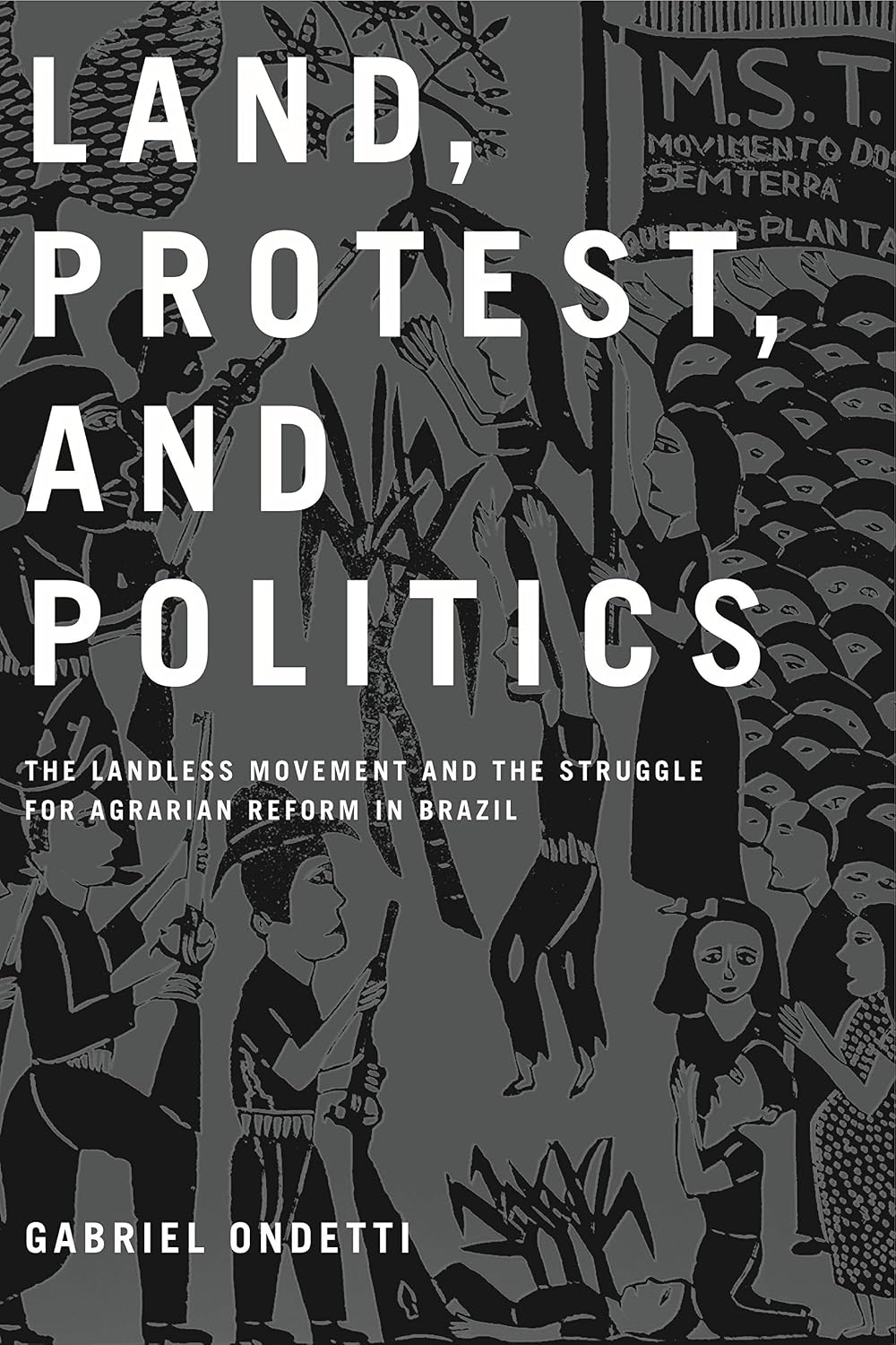 Land, Protest, and Politics: The Landless Movement and the Struggle for ...