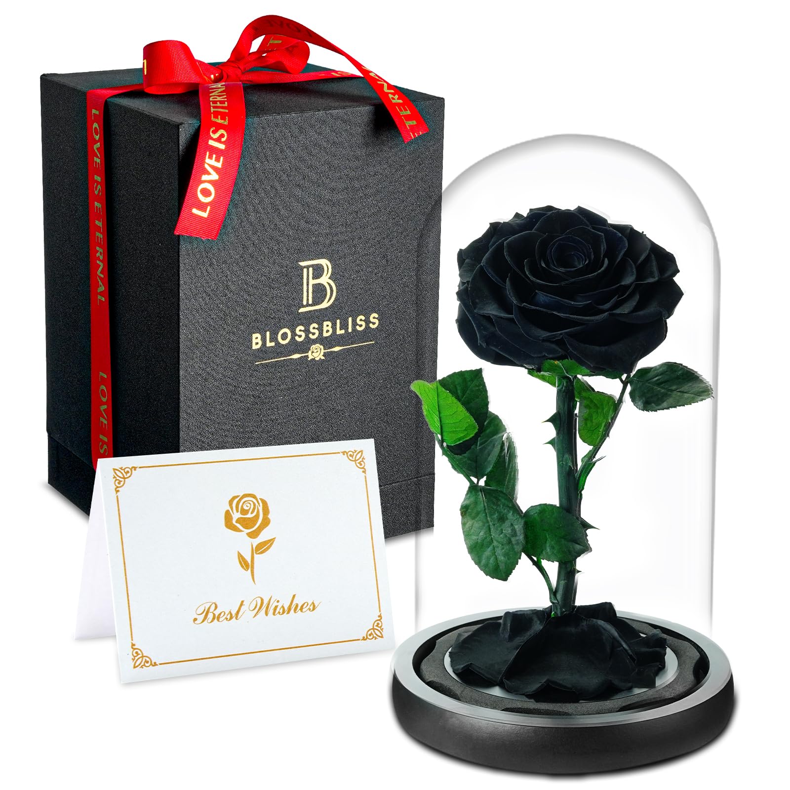 Amazon.com: BLOSSBLISS Large 9" Preserved Flowers Real Black Rose in ...
