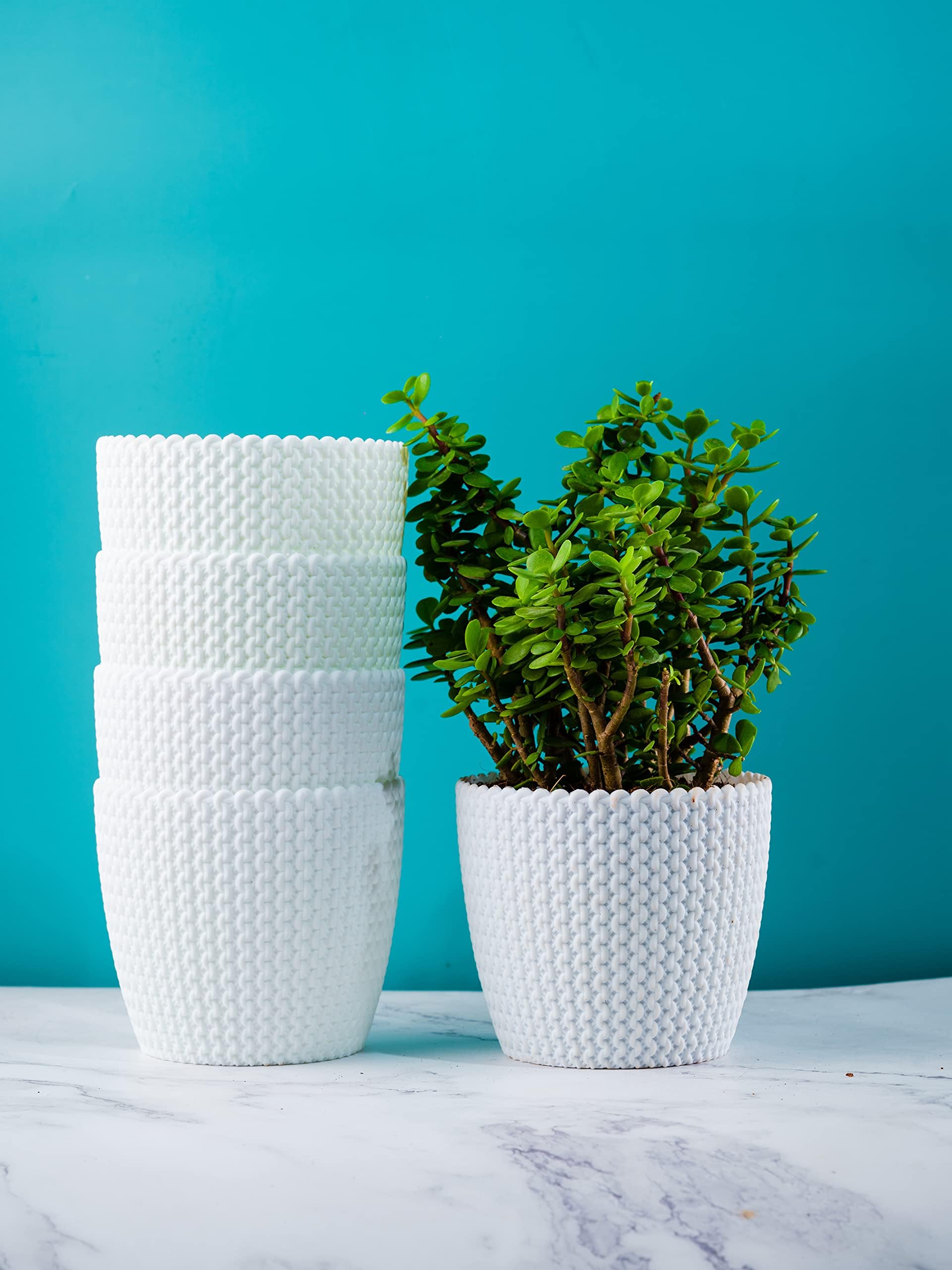 Nurturing Green® Set of 2 Green Ceramic Pot for Plants | Decorative ...