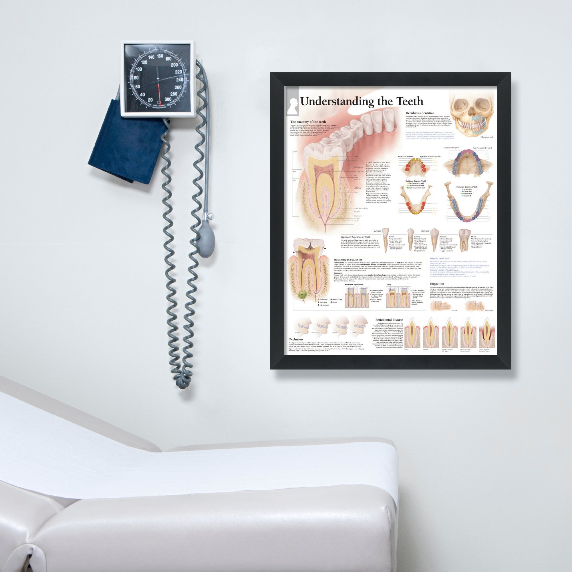 Understanding Teeth, Wall Decor Poster, Framed Educational Art for ...