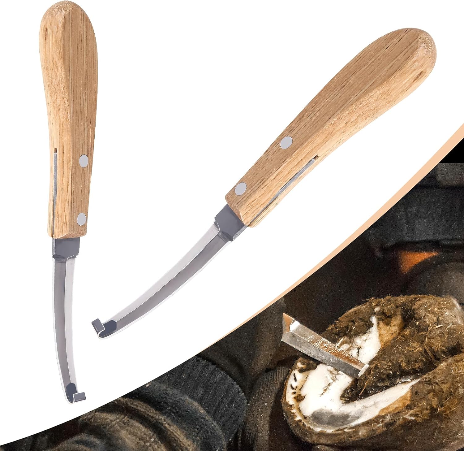 Amazon.com: TOHONGADON 2 Pack Double Edged Hoof Knife with Wooden ...