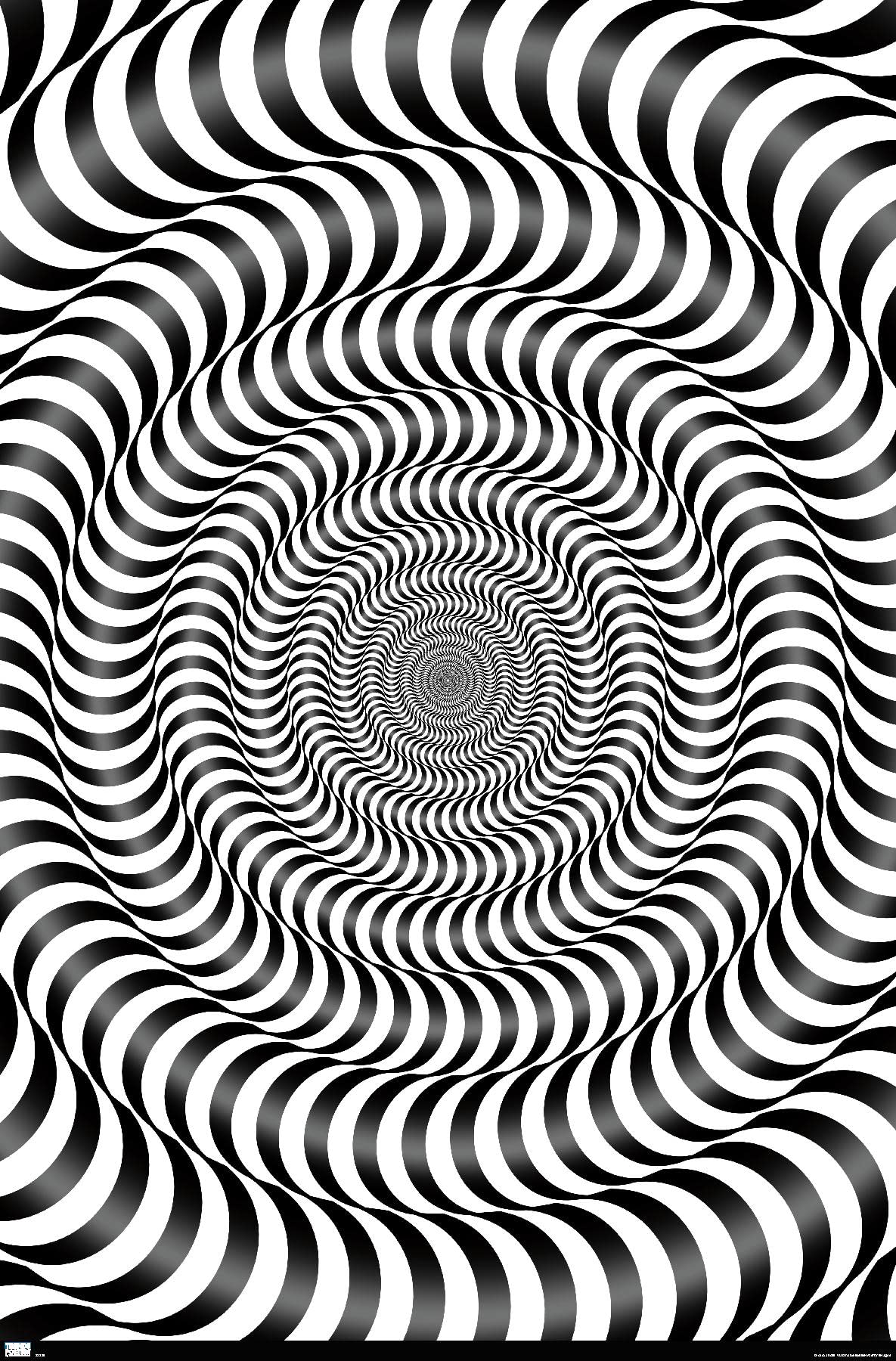 Amazon.com: Trends International Zebra Stripe Optical Illusion Wall ...