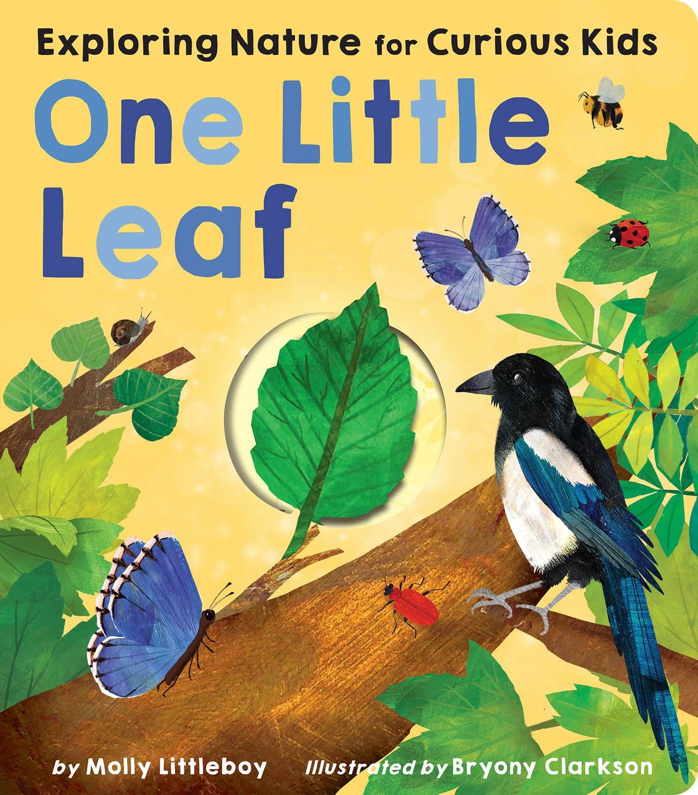 One Little Leaf: Exploring Nature for Curious Kids: Littleboy, Molly ...