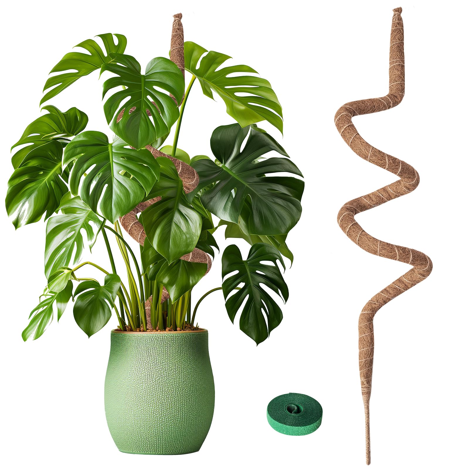Amazon.com : Bendable Moss Pole for Plants Monstera, Tall Moss Poles ...